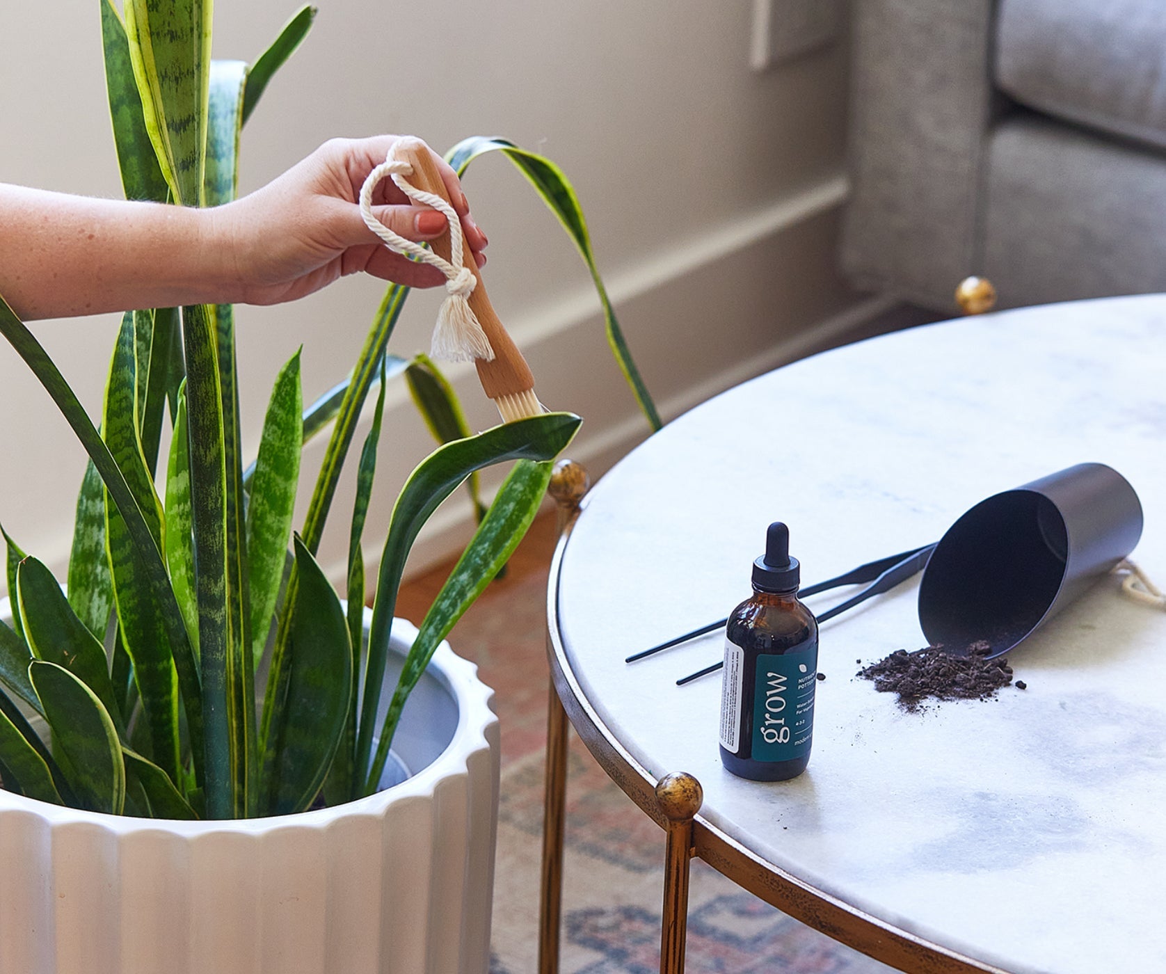 Gift Guide for Indoor Plant Parents: Perfect Presents for Green Thumbs