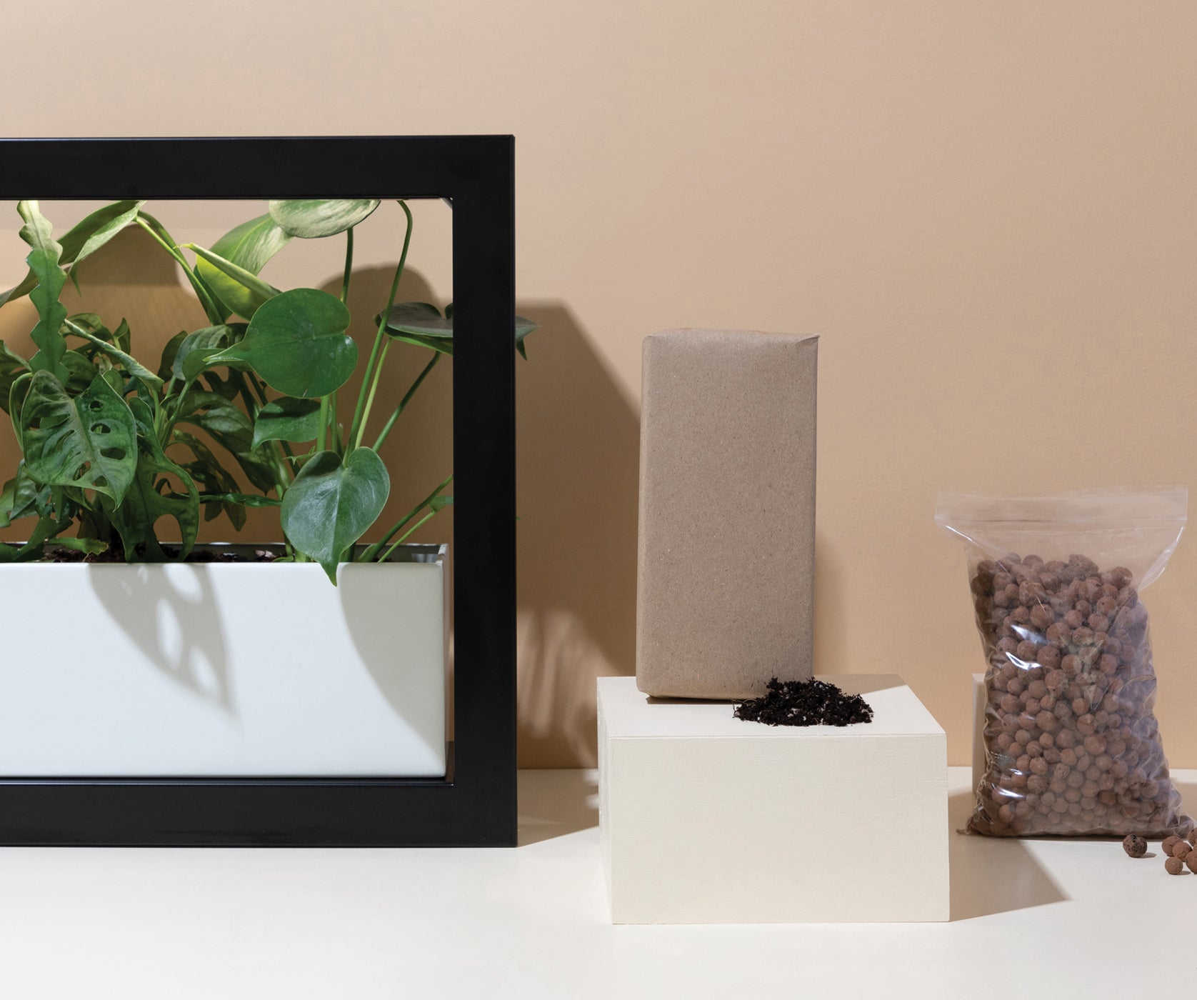 Growframe Basics: Essential Tips for Successful Planting