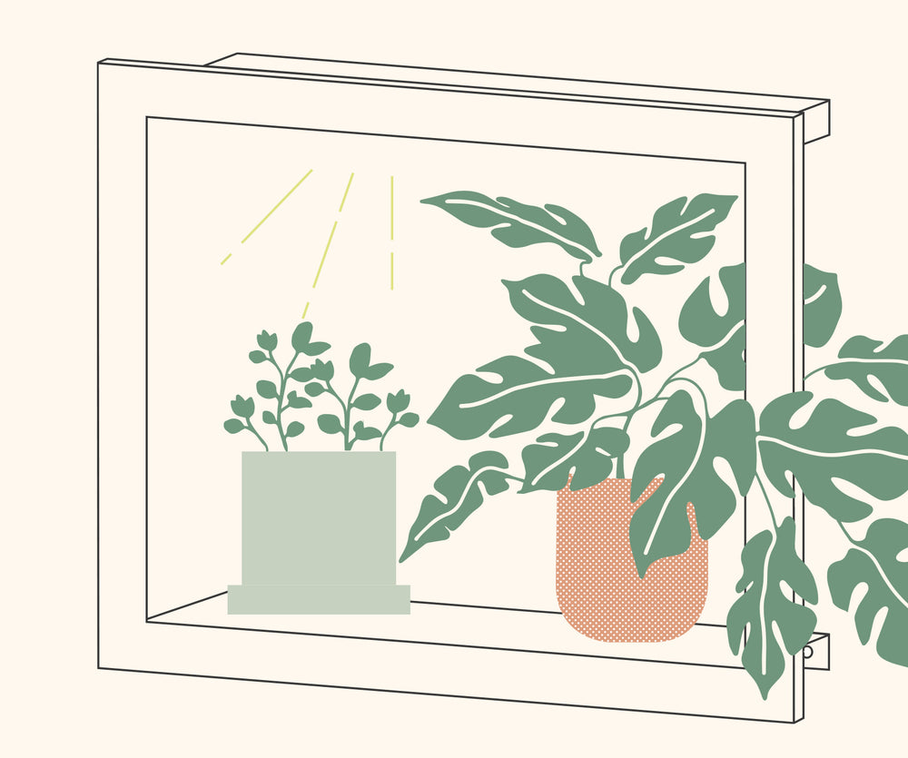 Styling a Growframe: Plant Me! Series Part 2