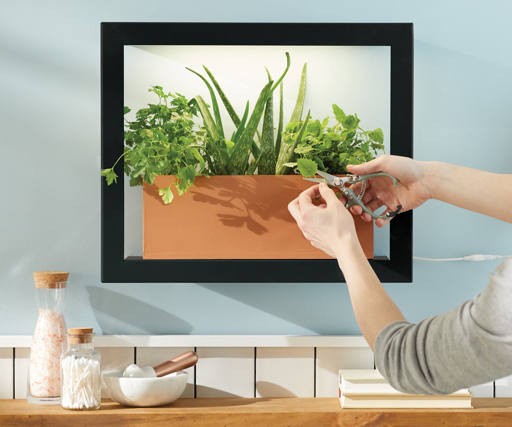 Growframe Planting Scapes: Tips for Thriving Plants