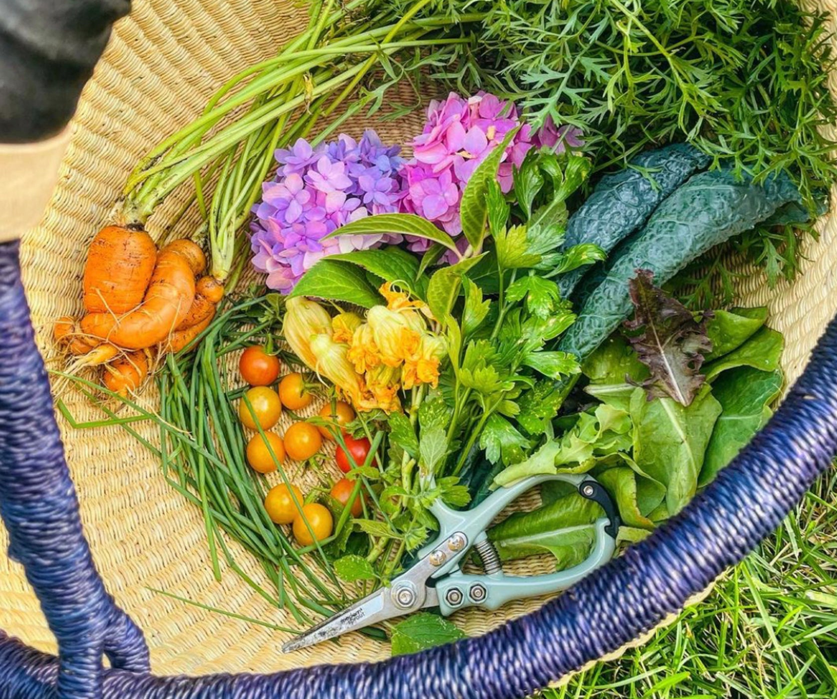 Harvesting Tips: 5 How-Tos for a Bountiful Yield