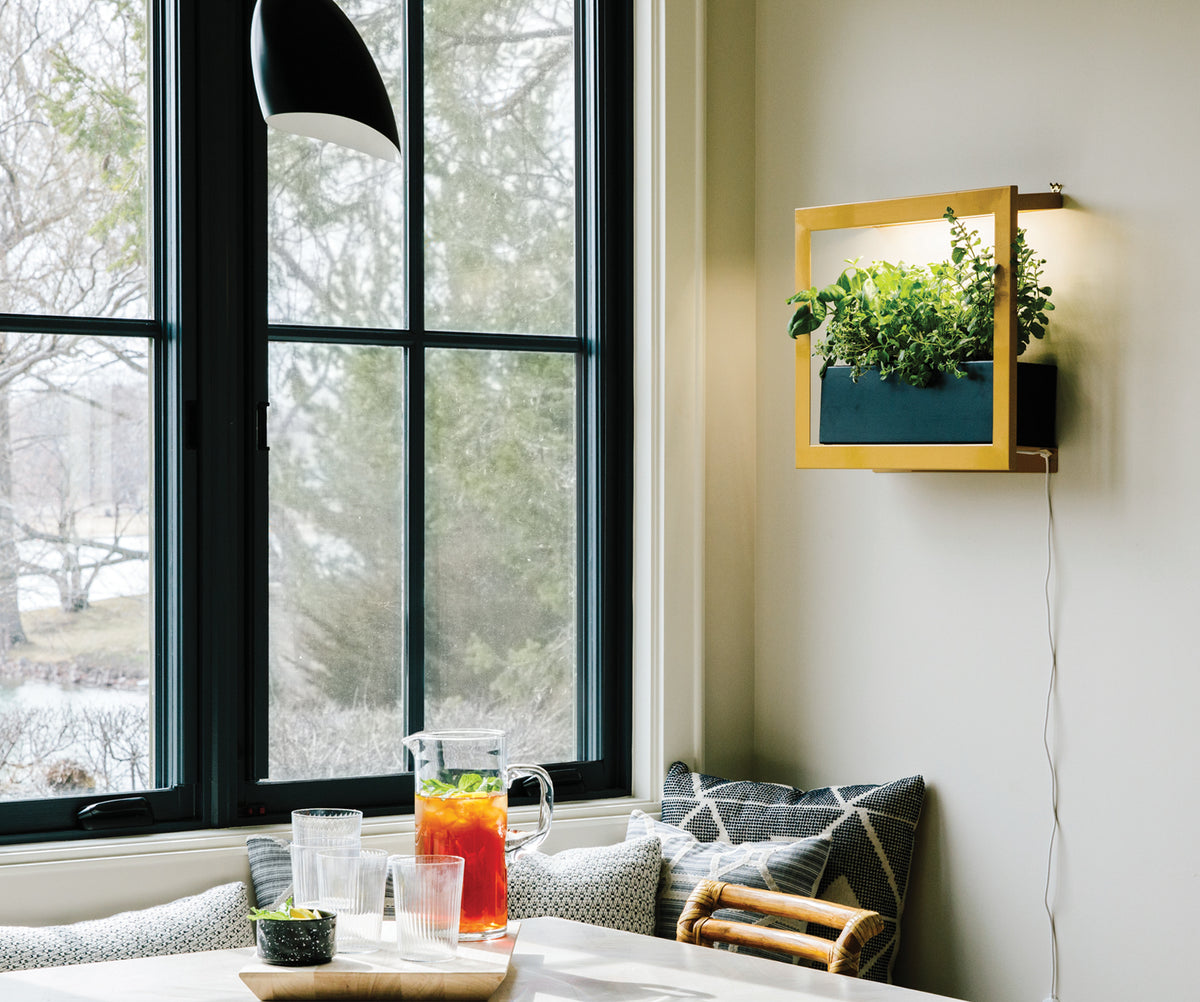 Temperature Matters to Your Plants: Essential Growing Tips