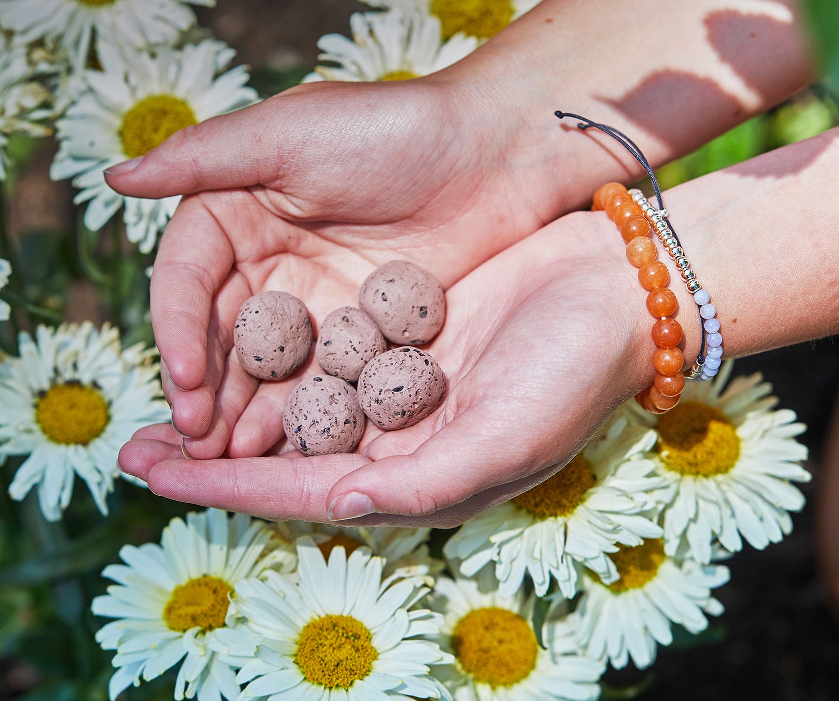 Celebrate Pollinator Week: Tips for a Thriving Garden