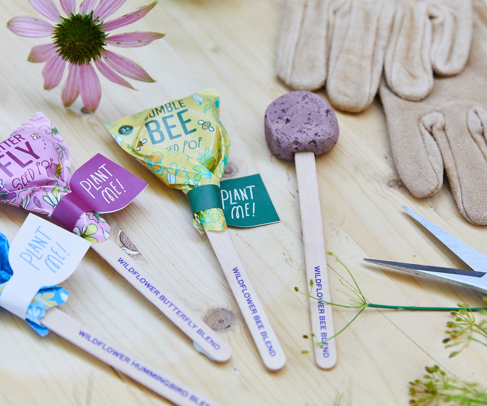 Mini Guide to Seed Pops: Easy Growing Tips & Resources