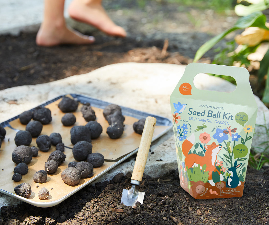 Meet The Flowers Of Our Wild Habitat Seed Balls