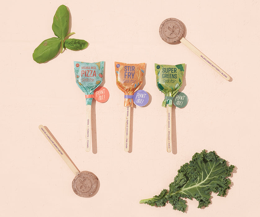 POP Goes the Planter: Fun Tips for Indoor Gardening