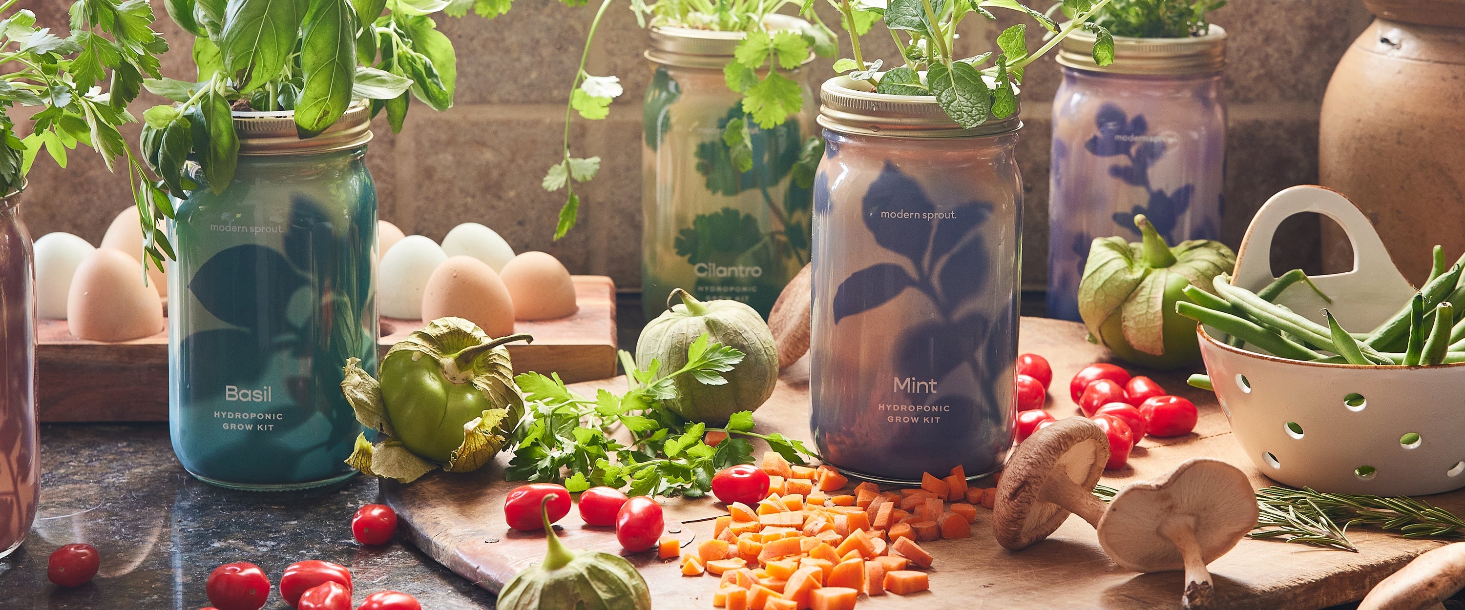 Gifts for Culinary Enthusiasts: Kitchen Essentials & Herb Kits