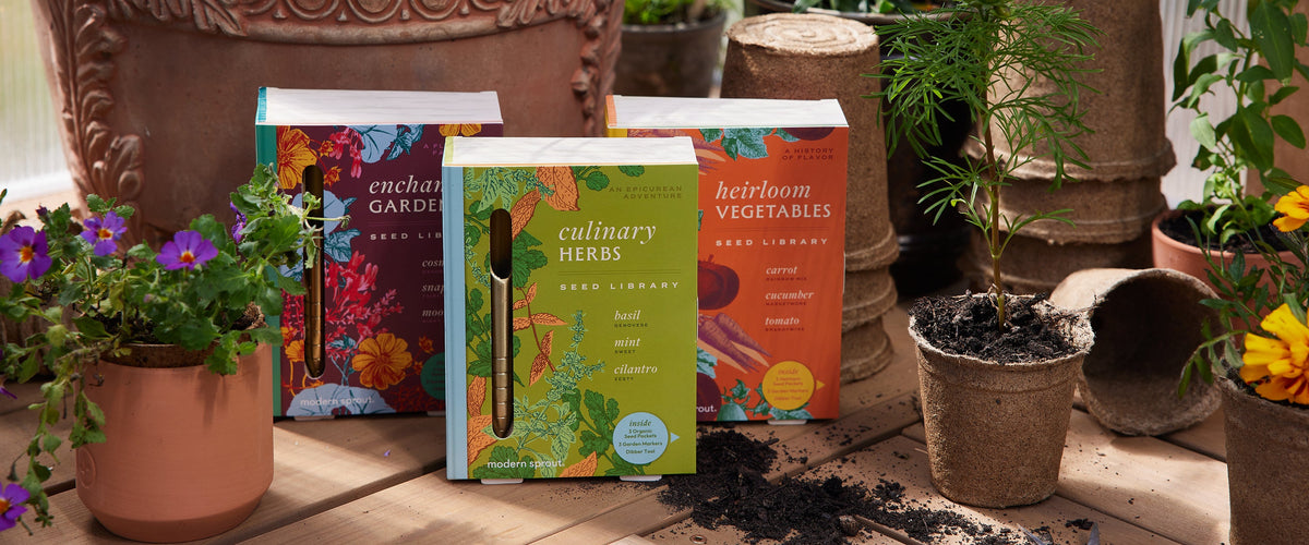 Gift Sets & Bundles | Thoughtful Gifts for Every Occasion