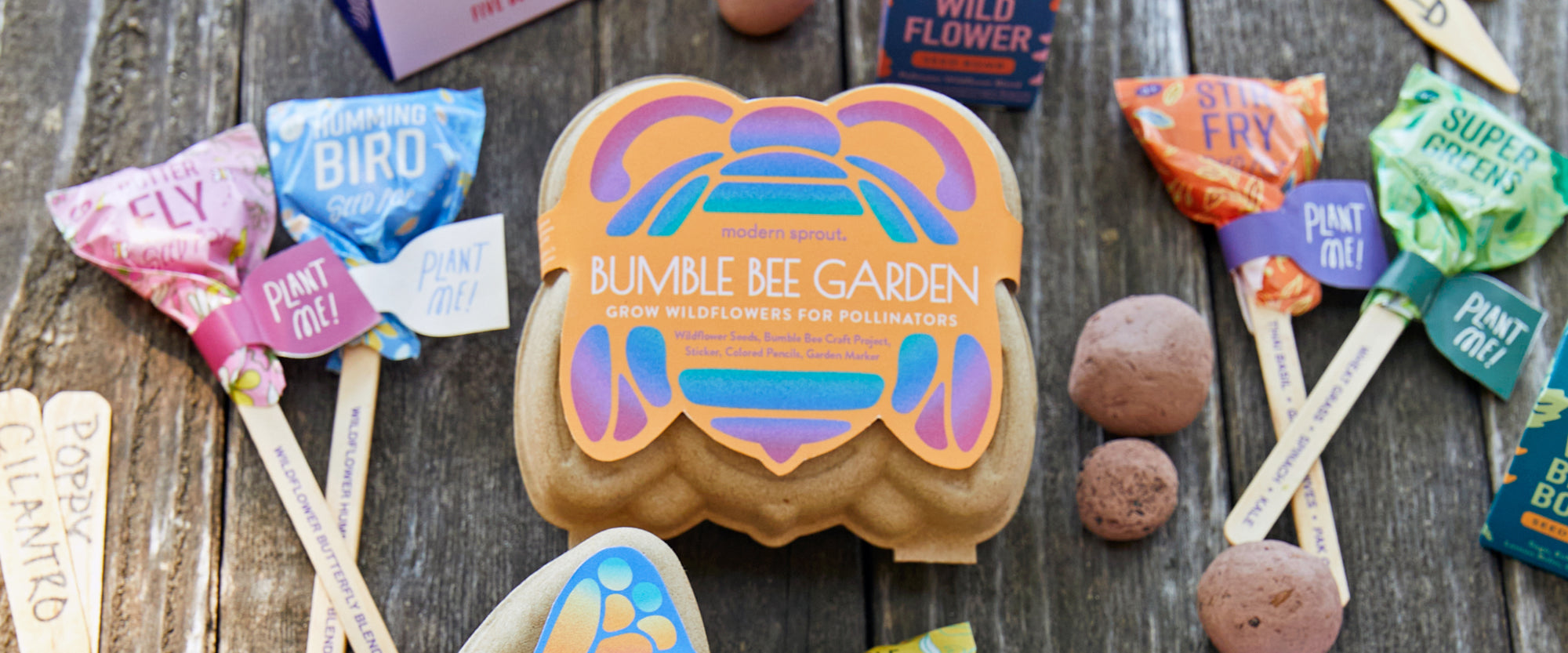 Kids Birthday Gardening Kits | Modern Sprout