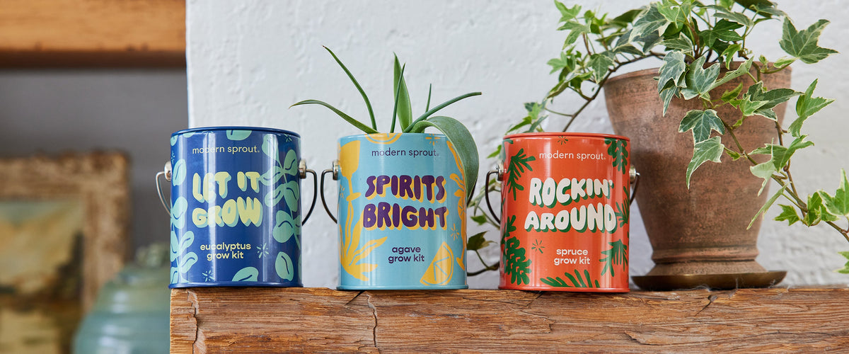 Grow Kits | Easy-to-Use Plant Growing Kits for Home Gardening