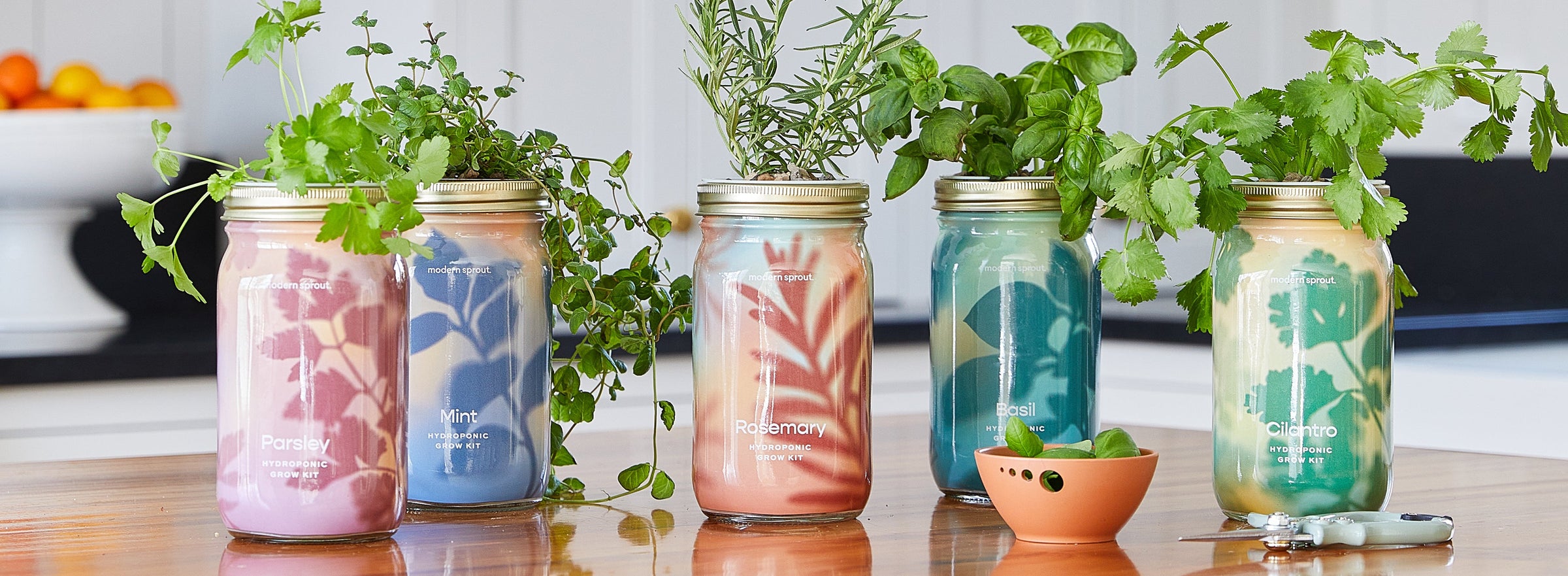 Modern Sprout Products: Eco-Friendly Gardening Essentials