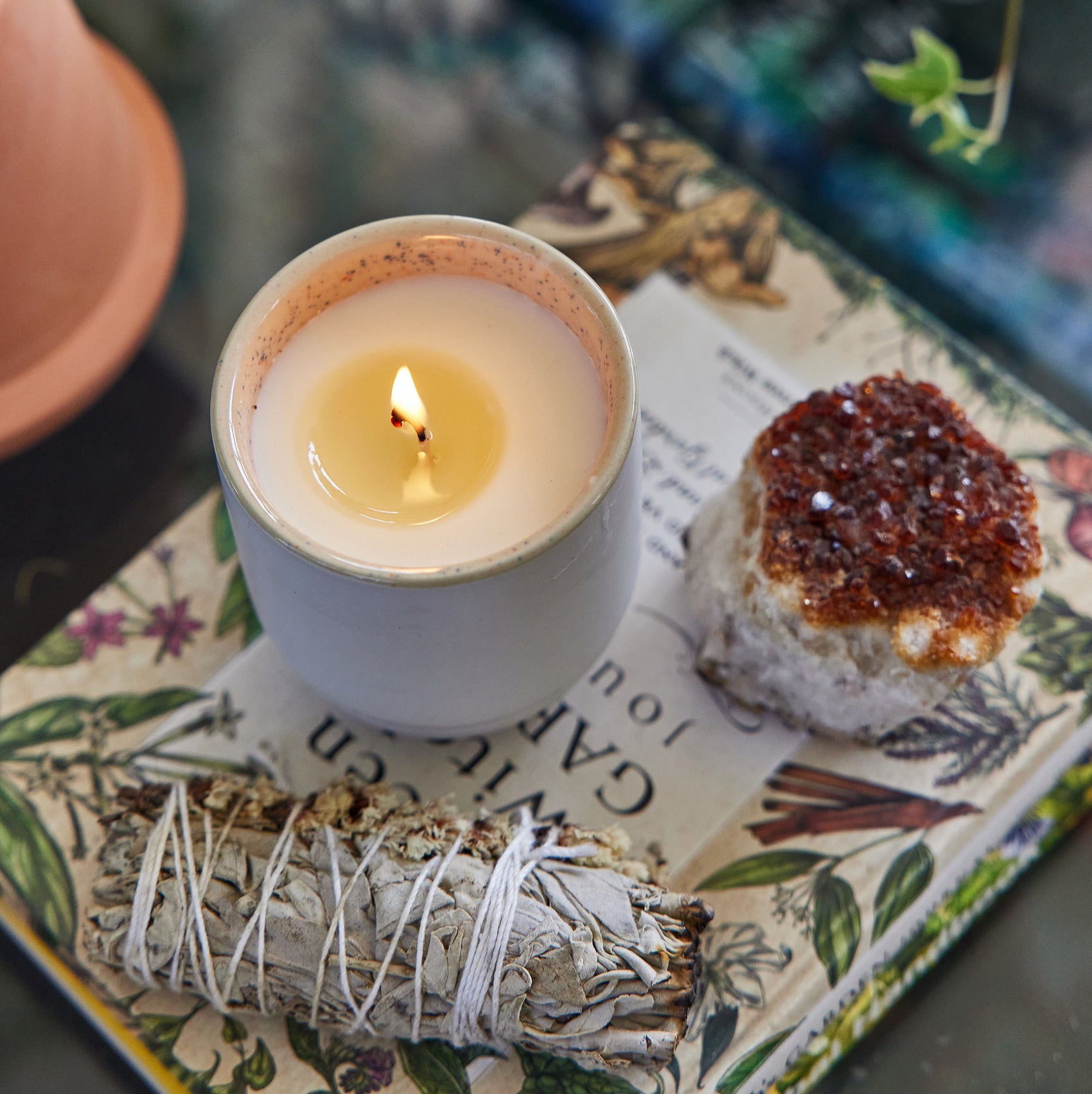 Modern Sprout Products: Eco-Friendly Gardening Essentials