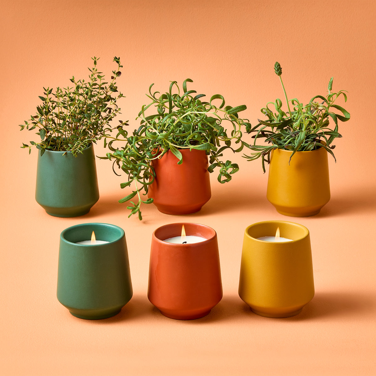 Rooted Candles | 6oz Scented Soy-Blend Candle | Ceramic Vessel | Grow ...