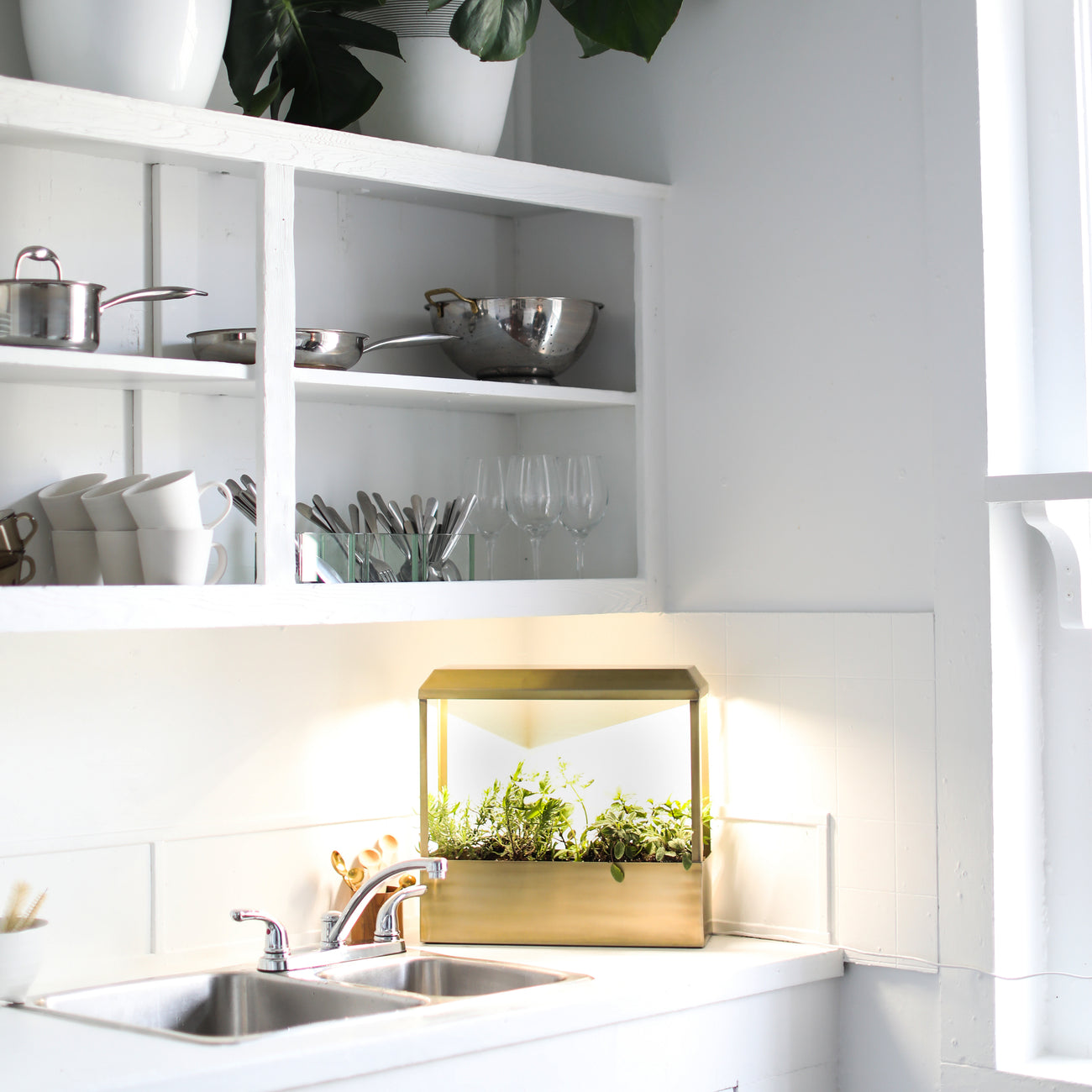 Buy Smart Growhouse | Planter With Full-Spectrum LED Grow Light