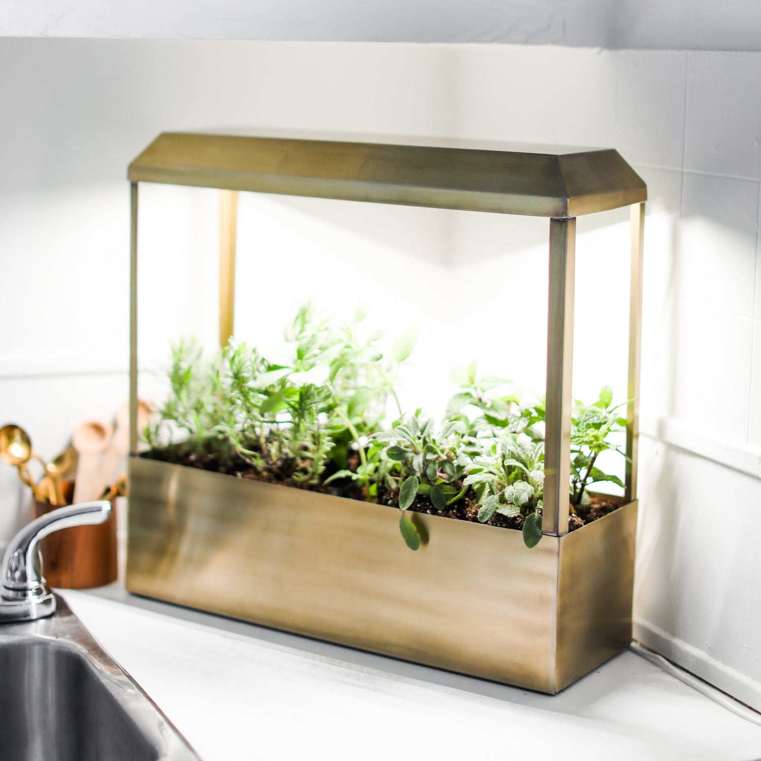 Buy Smart Growhouse | Planter With Full-Spectrum LED Grow Light