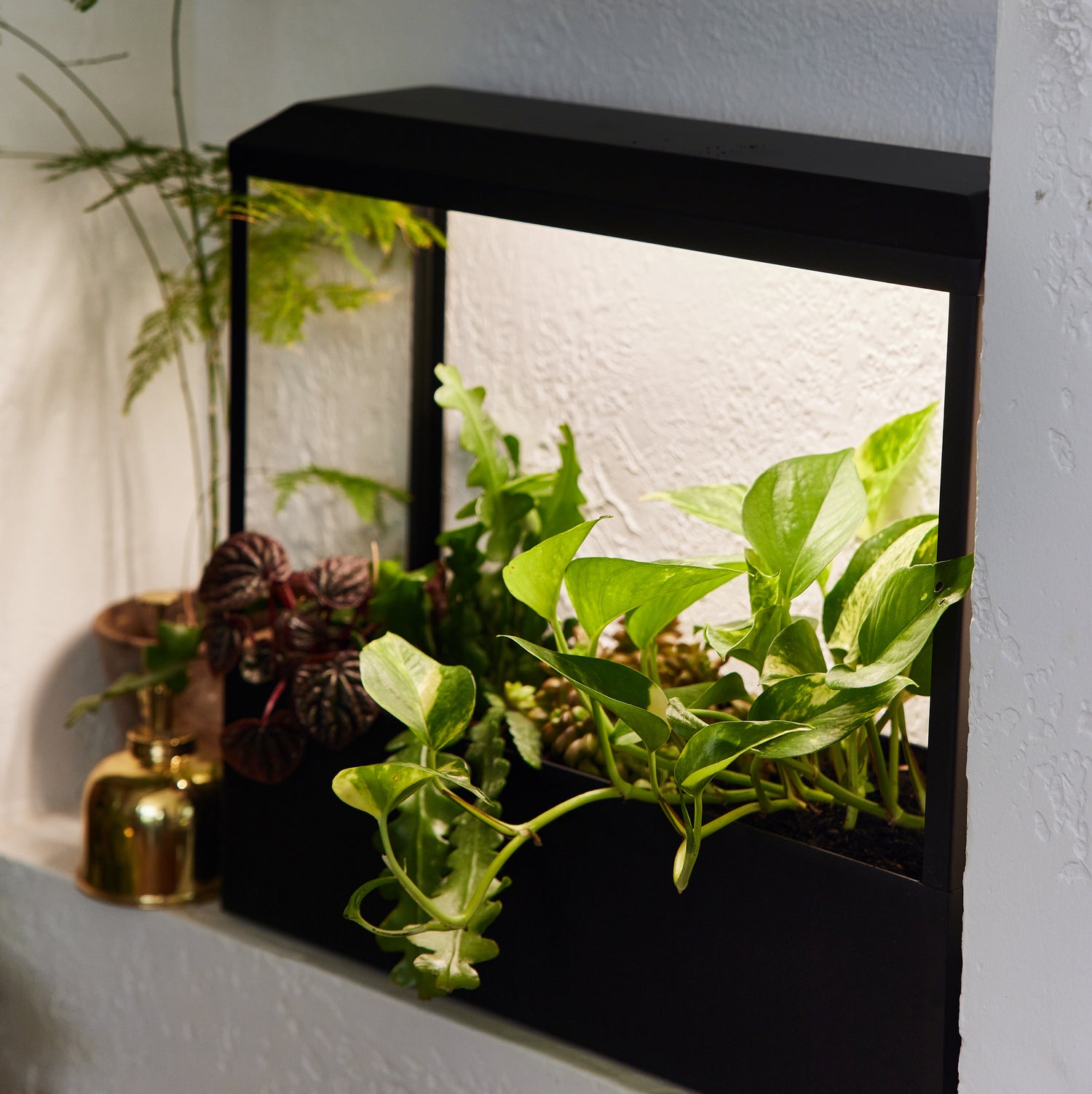 Modern Sprout Products: Eco-Friendly Gardening Essentials