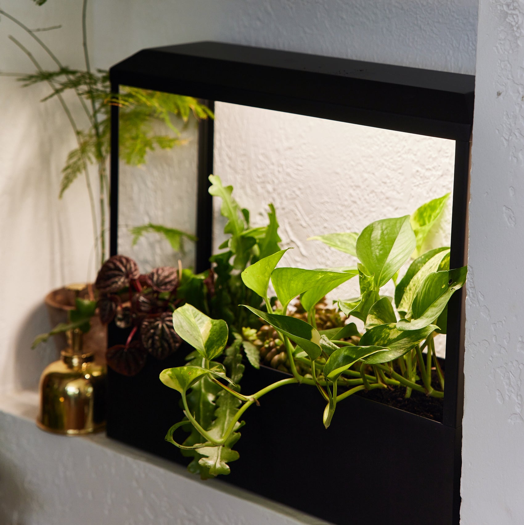 Modern Sprout Products: Eco-Friendly Gardening Essentials