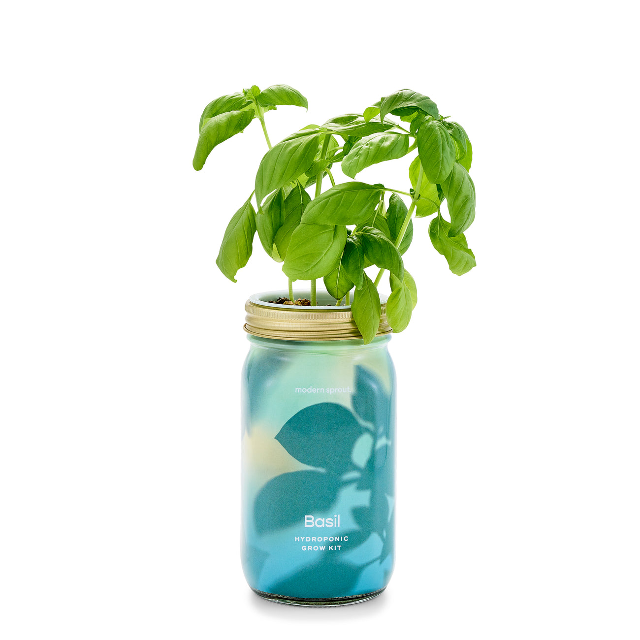 Garden Jars - Organic Herbs | Hydroponic Setup | Biophilic Design ...