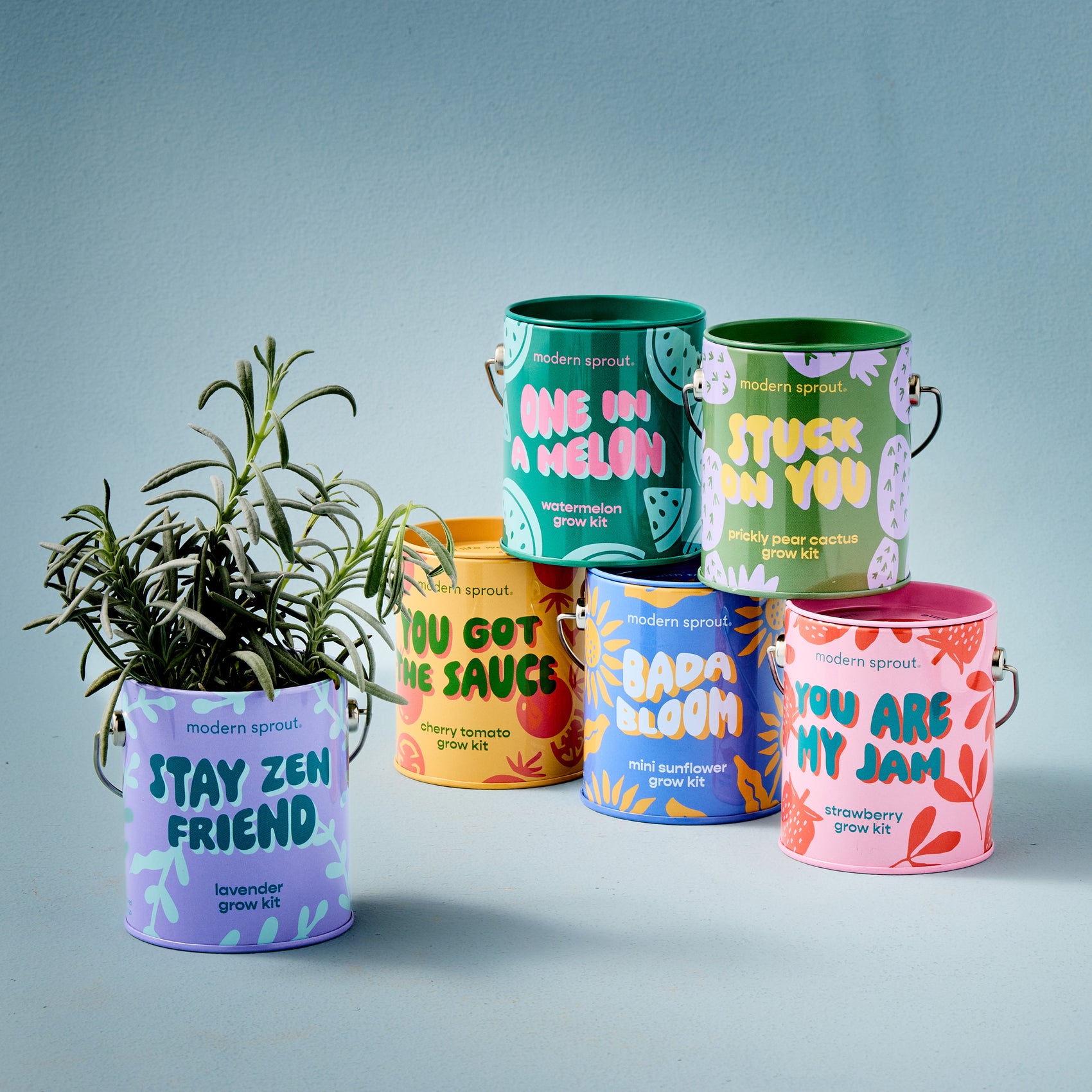 Complimentary Colors Grow Kits | Half-Pint Paint Planters | Modern Sprout