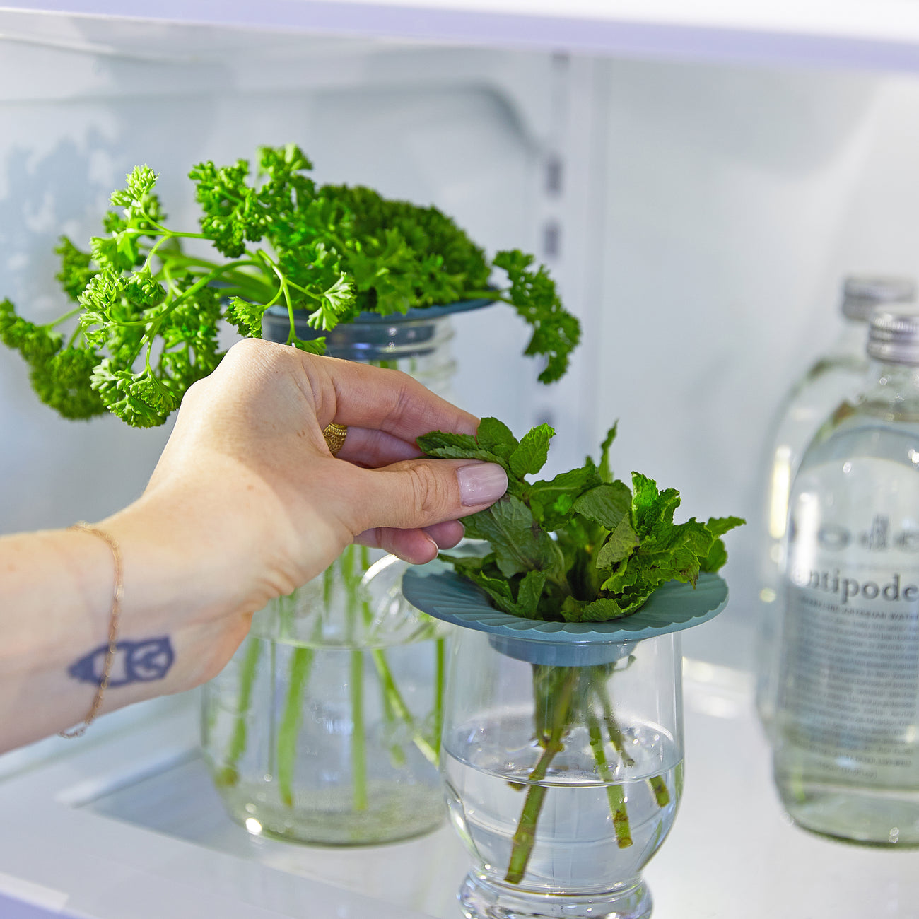 Produce Keepers 2Pk | Fresh Herbs & Greens | Made From Melamine, Bamboo ...