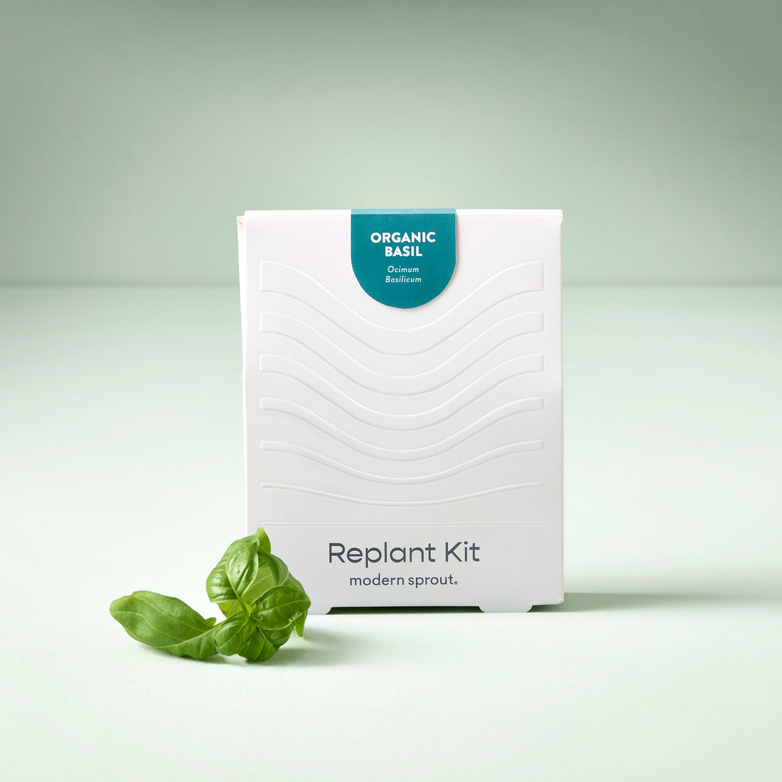 Immersion Hydroponic Replant Kit | Includes Seeds, Grow Medium & Plant ...