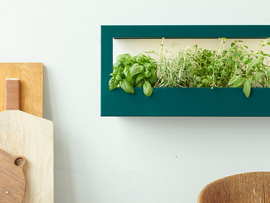 Modern Sprout Products: Eco-Friendly Gardening Essentials