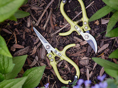 Rooted Candles | 6oz Scented Soy-Blend Candle | Ceramic Vessel | Grow ...