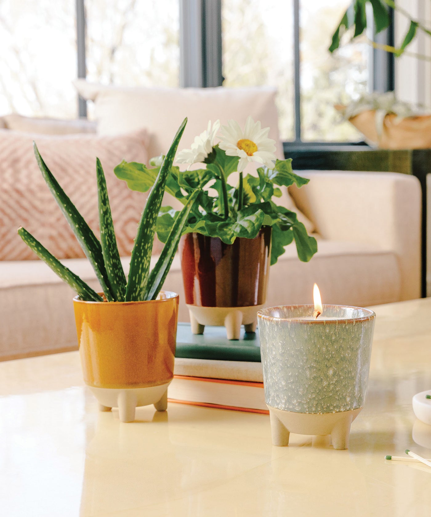 Modern Sprout Products: Eco-Friendly Gardening Essentials