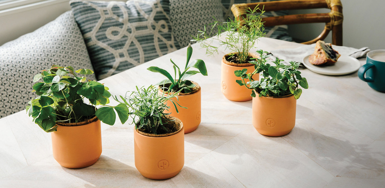 Corporate Gifts for Businesses | Modern Sprout