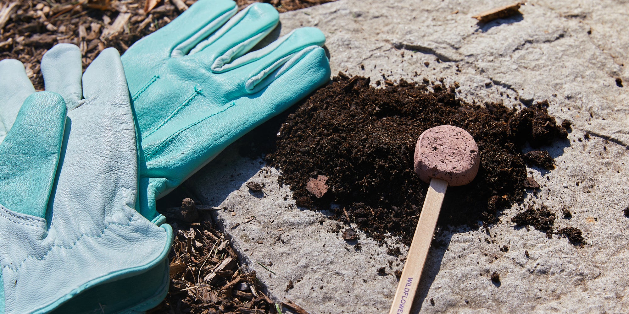 Modern Sprout Products: Eco-Friendly Gardening Essentials