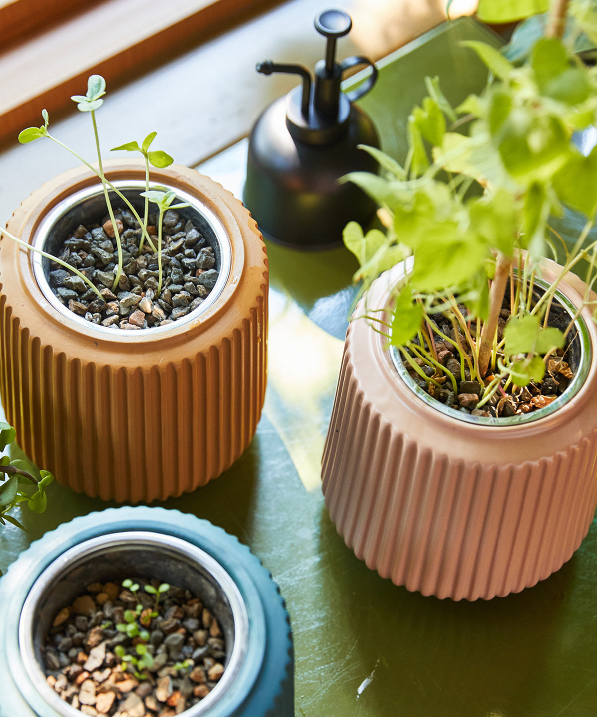 Modern Sprout Products: Eco-Friendly Gardening Essentials
