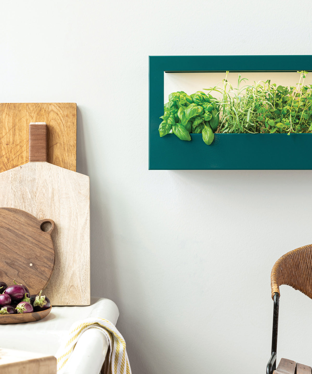 Modern Sprout Products: Eco-Friendly Gardening Essentials