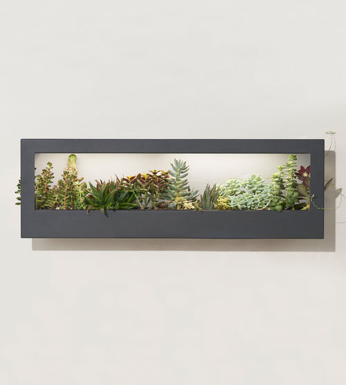 Smart Landscape Growframe | Wall-Mountable Metal Fixture With ...