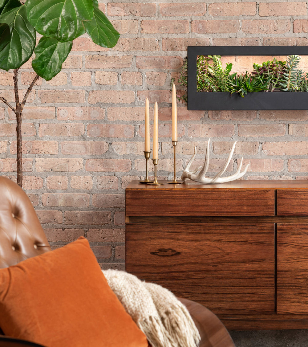 Smart Landscape Growframe | Wall-Mountable Metal Fixture With ...