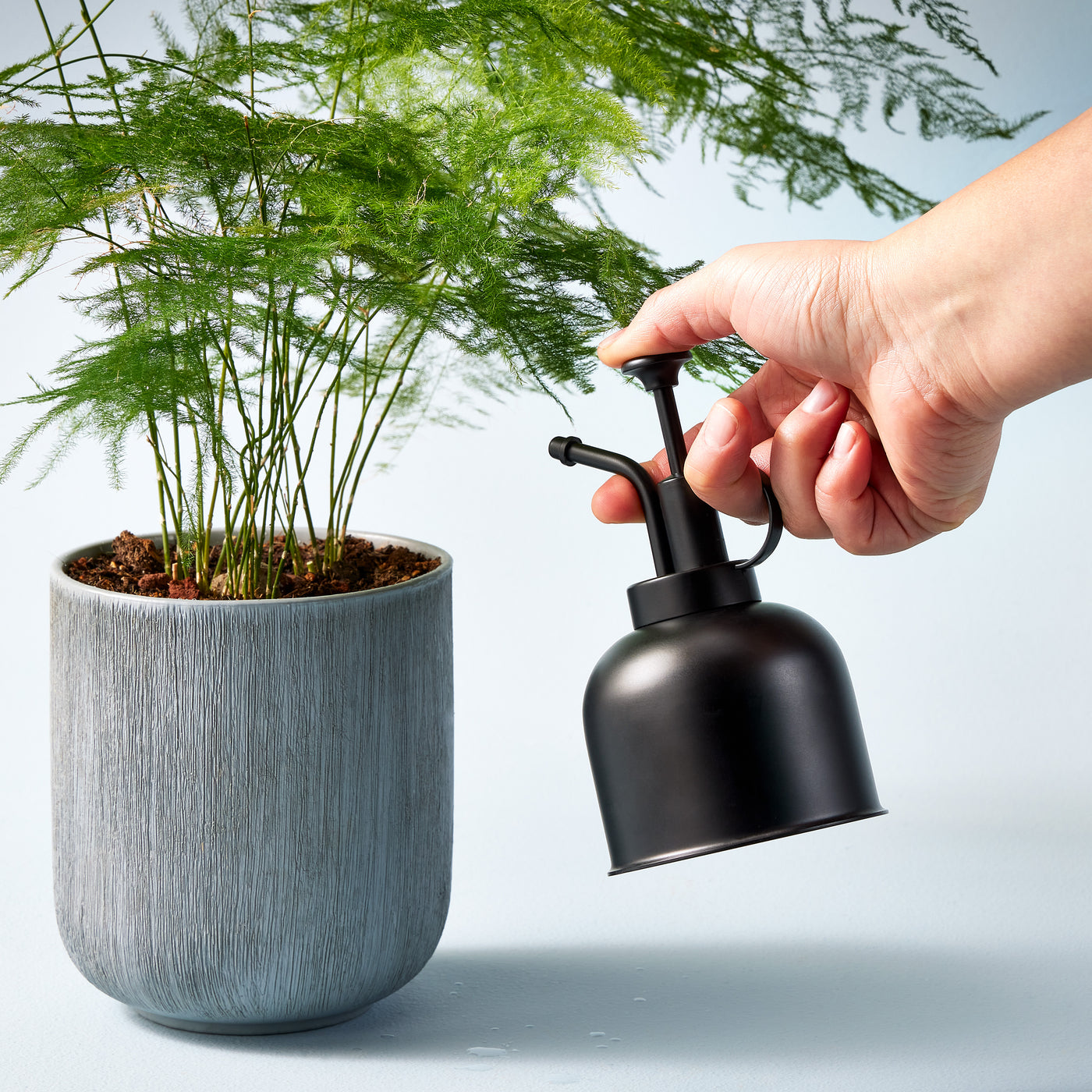 Misters | Ideal Moisture For Seed Starting & Sprout Growth | Modern Sprout